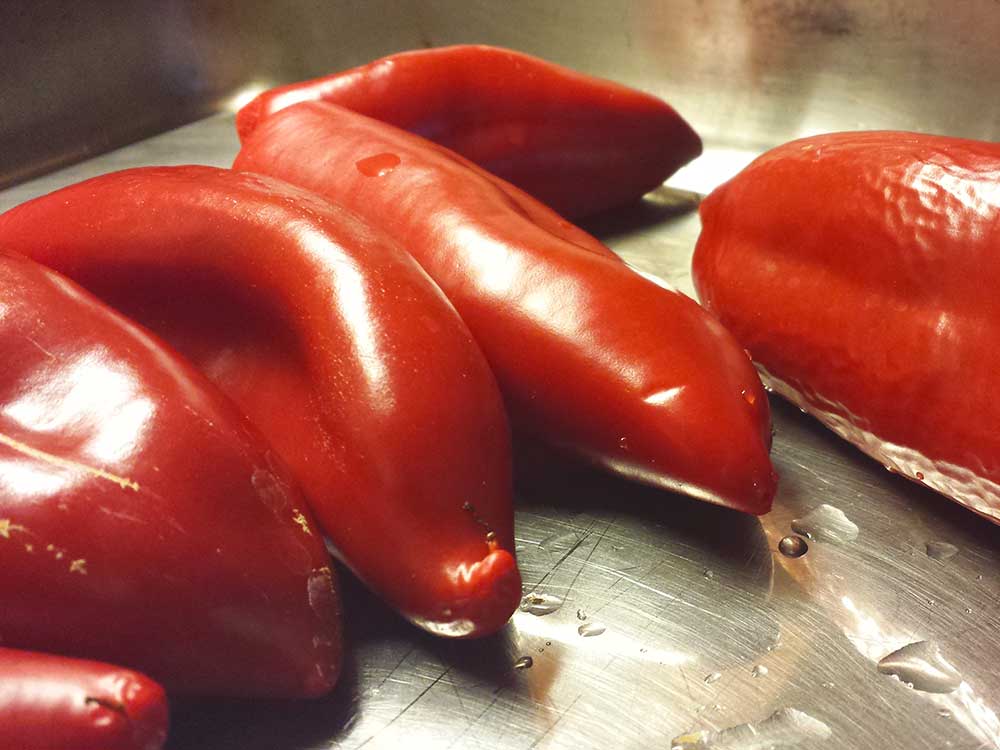 Piperies florinis gemistes me tiri – poivrons farcis au fromage