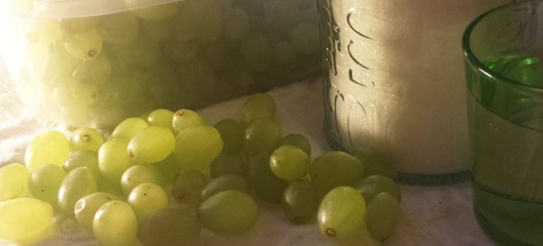 glyko koutaliou stafili – Confiture de raisin ou raisin confit
